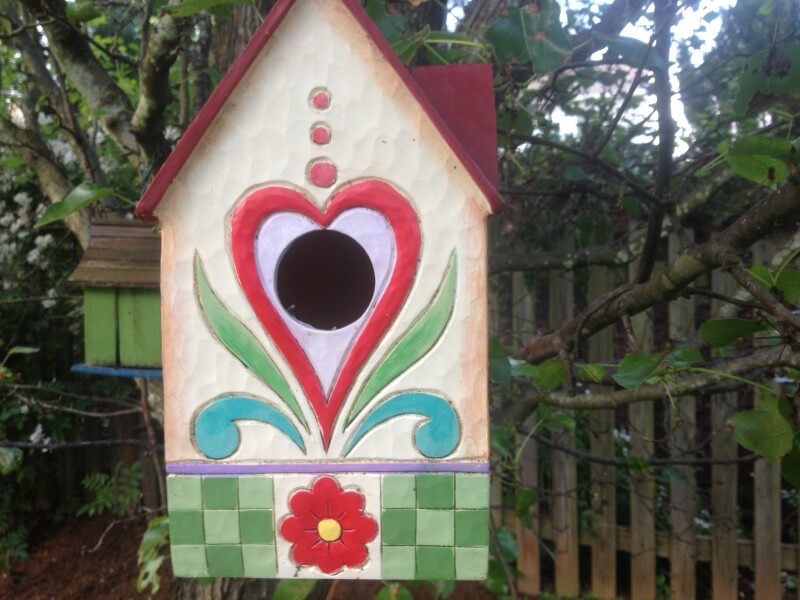 Encouragement to Soar - A Lesson from Chickadees