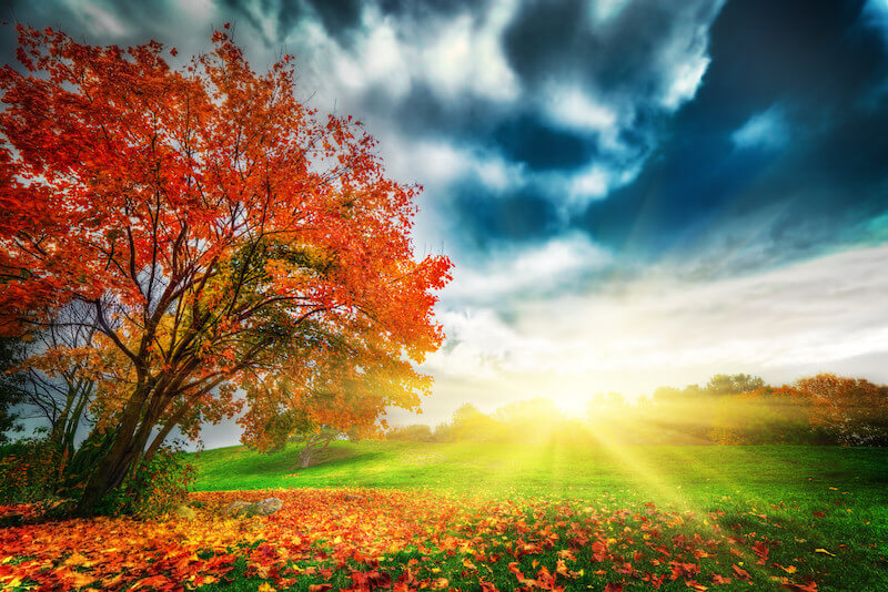 A Season for Change - Christian Coach Institute